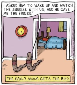 20 Funniest Online Comics That Capture the Humor in Daily Life