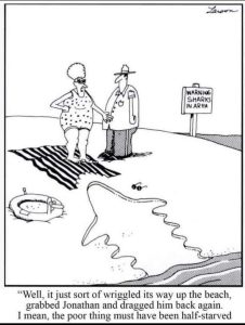 20 Best Gary Larson Cartoons from The Far Side, Packed with Laughs and Wit