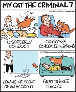 Top 10 “Off the Mark by Mark Parisi” Comics About Cats and Their Owners