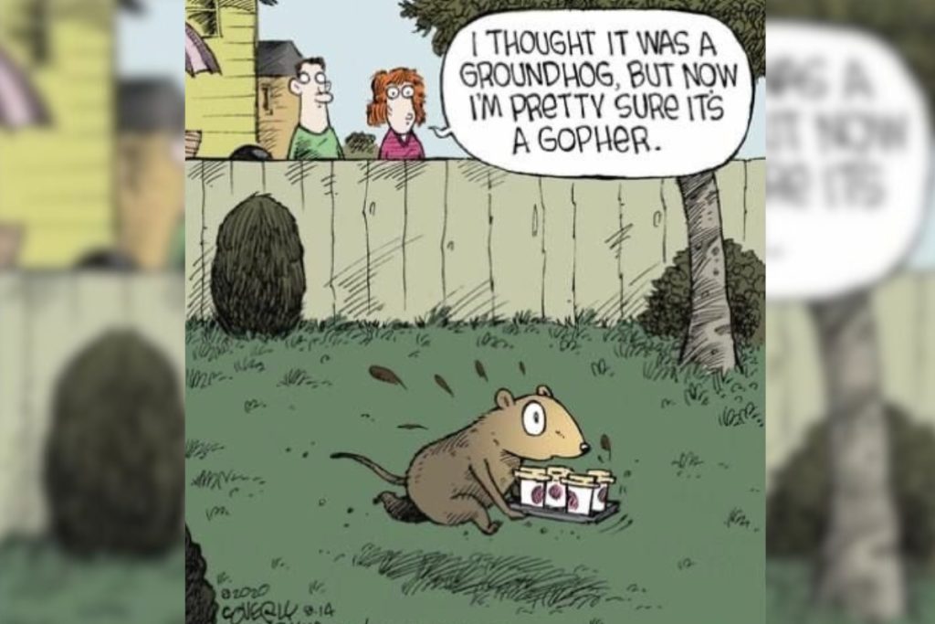 20 Comics That Show the Humor in Humans and Animals