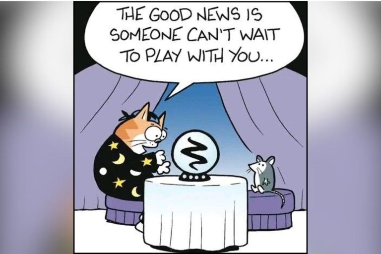 Top 10 “Off the Mark by Mark Parisi” Comics About Cats and Their Owners