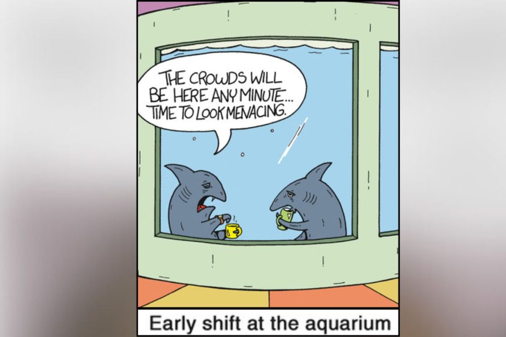 10 New Rubes Comics by Leigh Rubin That Twist Reality Hilariously