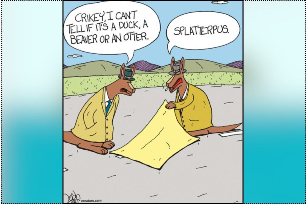 10 Rubes Humorous Comics by Leigh Rubin, That'll Leave You Laughing