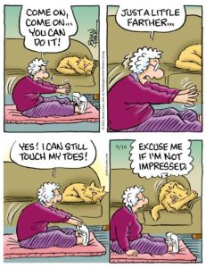 20 Hilarious Cartoons That Capture the Humor of Daily Life