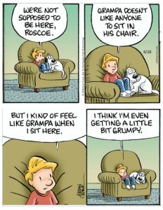 20 Hilarious Cartoons That Capture the Humor of Daily Life