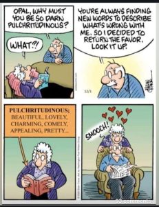 20 Hilarious Cartoons That Capture the Humor of Daily Life