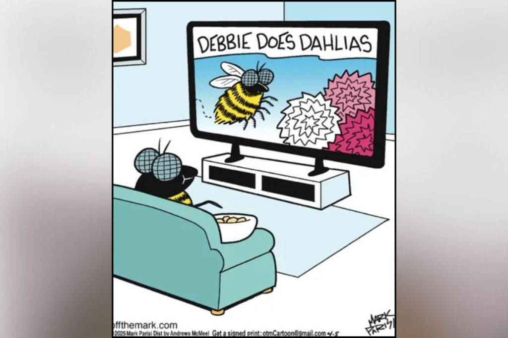 10 New Off the Mark Comics by Mark Parisi for a Daily Dose of Humor