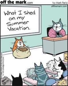 20 Hilarious Cartoons That Perfectly Capture Life with Cats