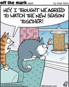 20 Hilarious Cartoons That Perfectly Capture Life with Cats