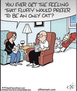 20 Hilarious Cartoons That Perfectly Capture Life with Cats